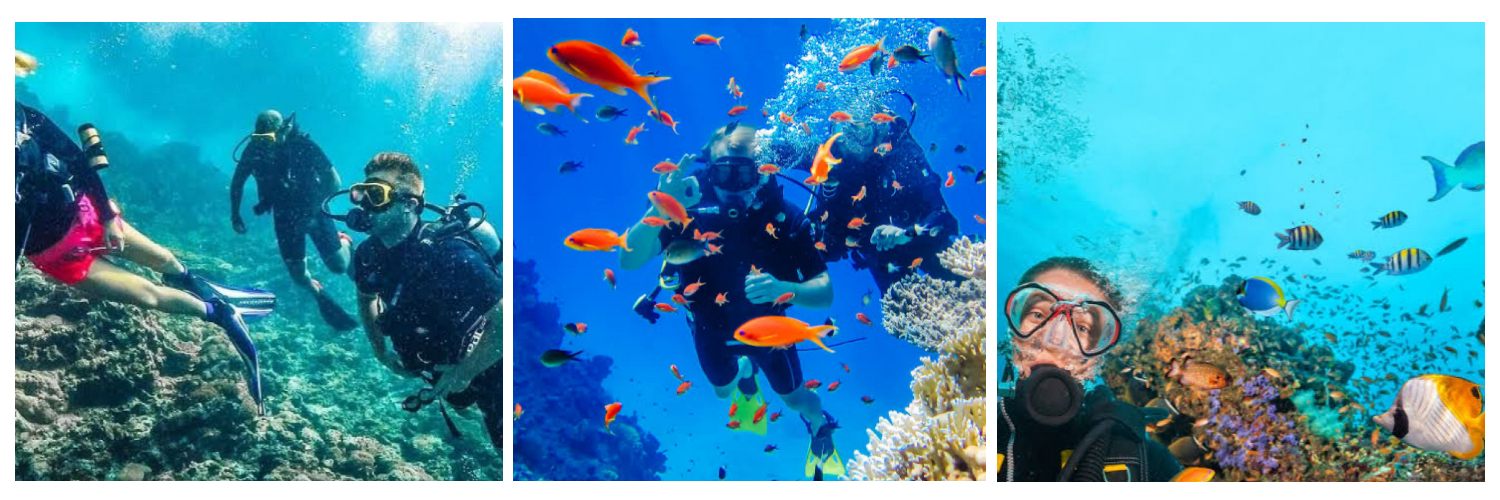 Home Page - Seaside Tours | Daily Tours in Fethiye, Dalyan Boat Tour ...